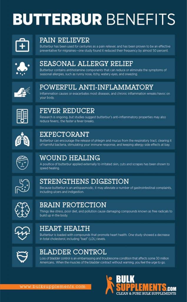 Butterbur. Natural Supplement for Allergy Relief and Overall Wellness