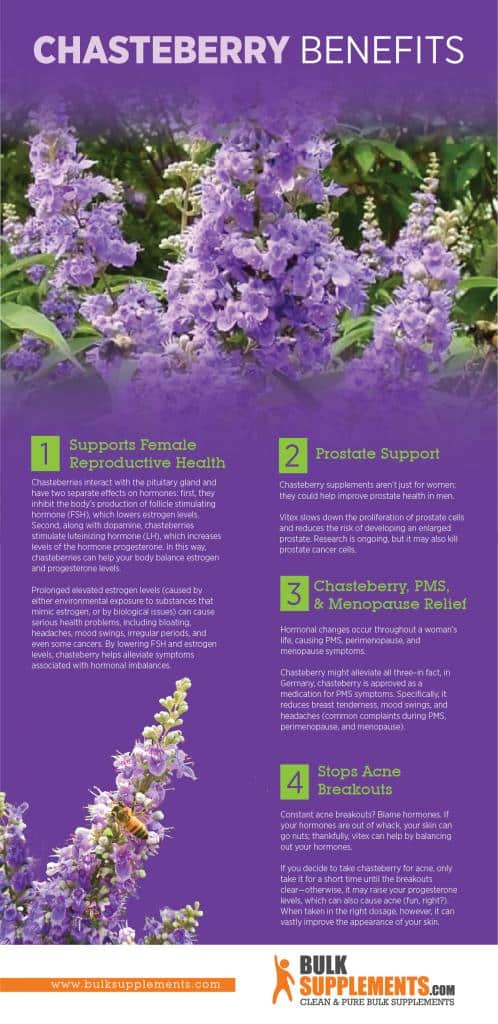 Chasteberry Extract. Regulate Hormones for Balanced Health