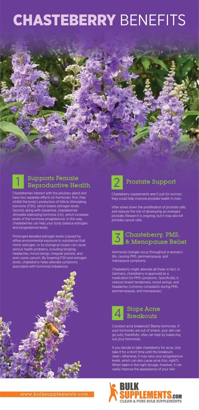 Chasteberry Extract. Regulate Hormones for Balanced Health