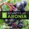 The Amazing Super Fruit Aronia Berry: 6 Health Benefits