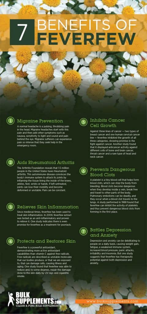 Feverfew. Eases Nausea & Prevents Headaches with This Supplement