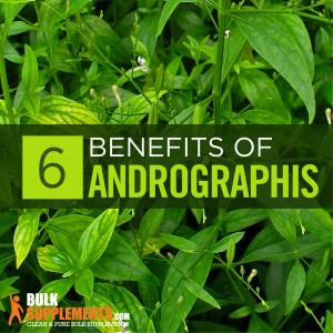 Andrographis. Ancient Anti-Inflammatory Herb for Better Health.