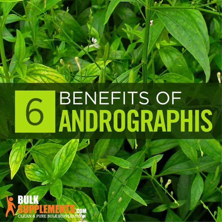 Andrographis. Ancient Anti-Inflammatory Herb for Better Health.