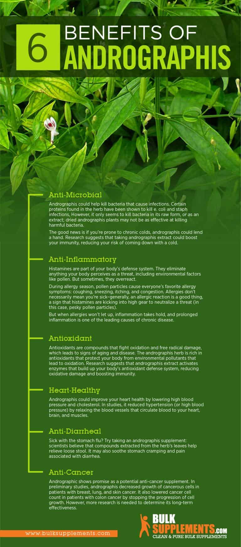 Andrographis. Ancient Anti-Inflammatory Herb for Better Health.