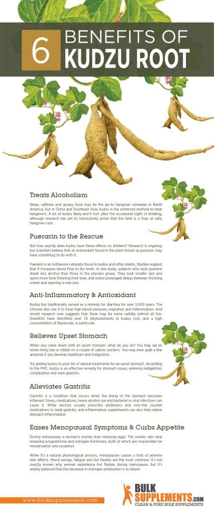 Kudzu Root. Natural Digestive Support. Science-Backed Solution.