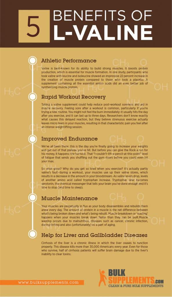 L-Valine Supplement: Benefits, Dosage & Side Effects