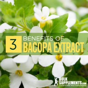 Bacopa Extract: Benefits, Side Effects & Dosage