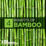 Bamboo Extract: Benefits, Side Effects and Dosage