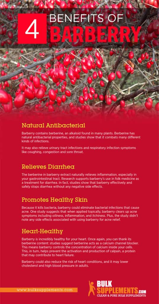 Barberry Extract. Improve Your Heart, Digestion and Immunity