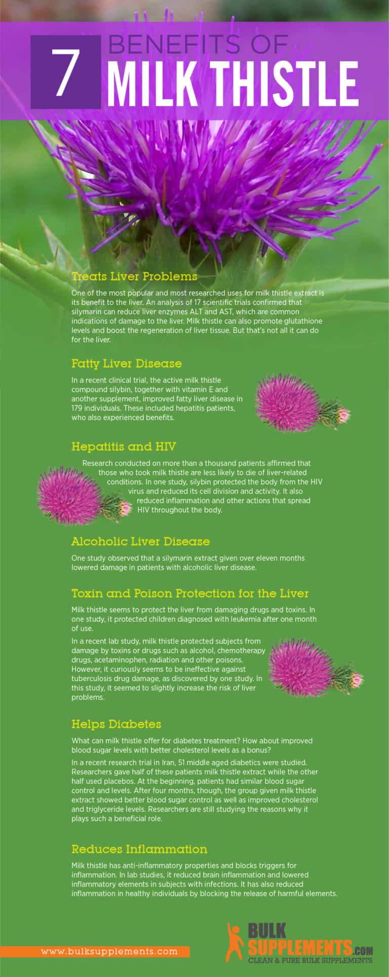 Milk Thistle Benefits Dosage And Side Effects