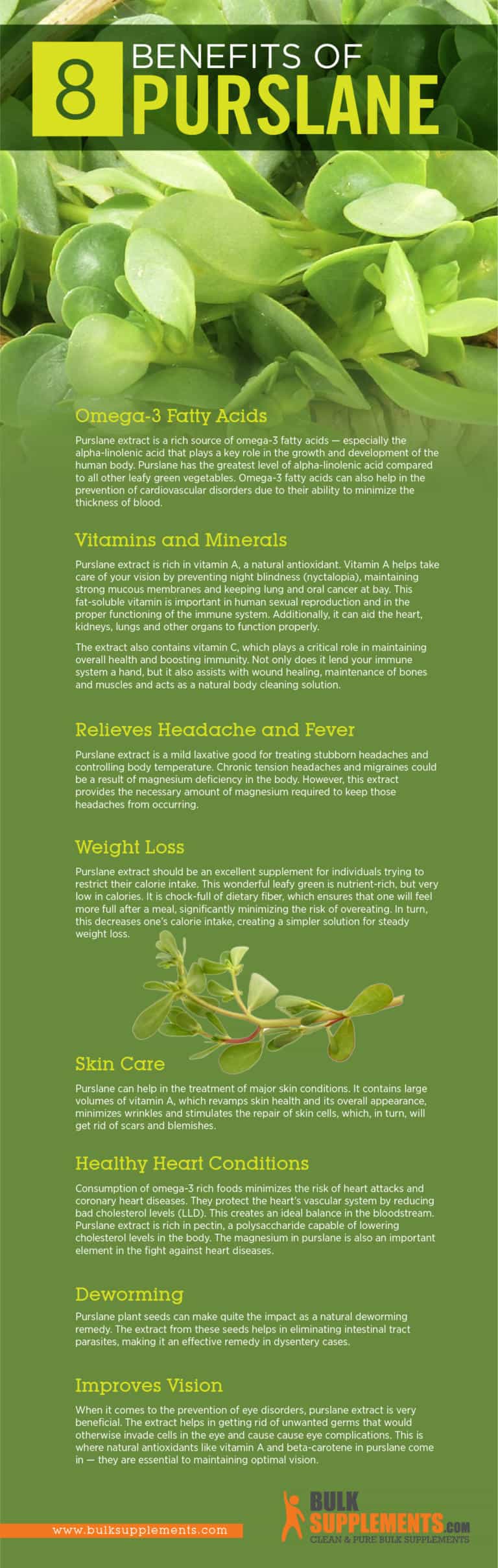 Purslane. Unlock the Secret Superfood, Improve Your Health Today