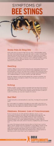 Bee Stings: Characteristics, Causes & Treatment