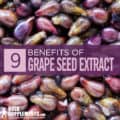 Grape Seed Extract: Benefits, Side Effects & Dosage