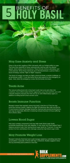 Holy Basil Benefits, Side Effects and Dosage