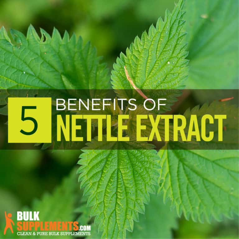 Nettle Extract: Benefits, Side Effects & Dosage