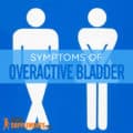 Overactive Bladder: Characteristics, Causes & Treatment