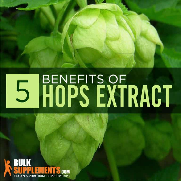 Hops Extract Benefits, Side Effects and Dosage