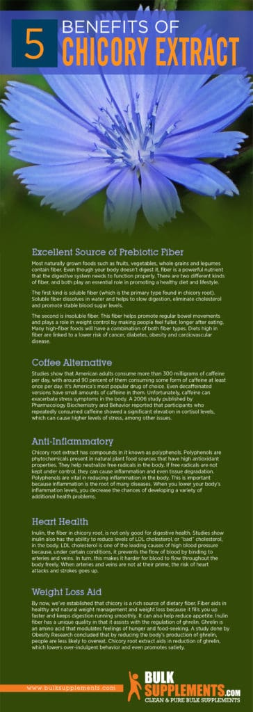 Chicory Root Extract: Benefits, Side Effects & Dosage