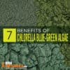 Chlorella Blue-Green Algae: Benefits, Side Effects & Dosage