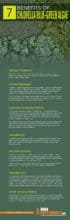 Chlorella Blue-Green Algae: Benefits, Side Effects & Dosage