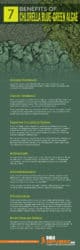 Chlorella Blue-Green Algae: Benefits, Side Effects & Dosage