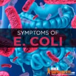 E. Coli Infection: Symptoms, Causes & Treatment