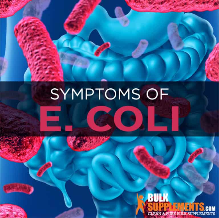 E Coli Infection Symptoms Causes Treatment E Coli Infection Symptoms Causes Treatment