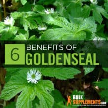 Goldenseal: Benefits, Side Effects & Dosage