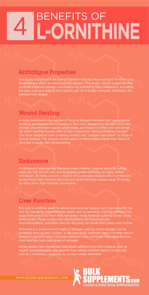 L-Ornithine: Benefits, Side Effects & Dosage