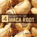 Maca Root Extract: Benefits, Side Effects & Dosage