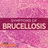 Brucellosis: Symptoms, Causes & Treatment