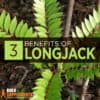 What are the Benefits of Longjack Extract? | BulkSupplements.com