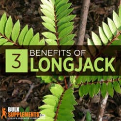 What are the Benefits of Longjack Extract?
