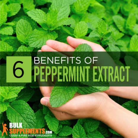 Peppermint Extract: Benefits, Side Effects & Dosage