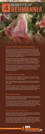 Rehmannia: Benefits, Side Effects & Dosage