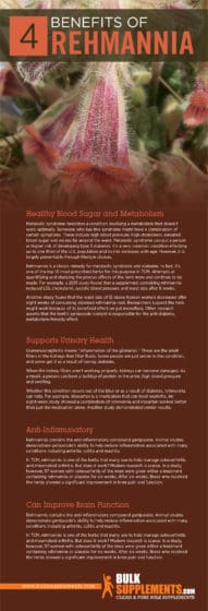 Rehmannia: Benefits, Side Effects & Dosage