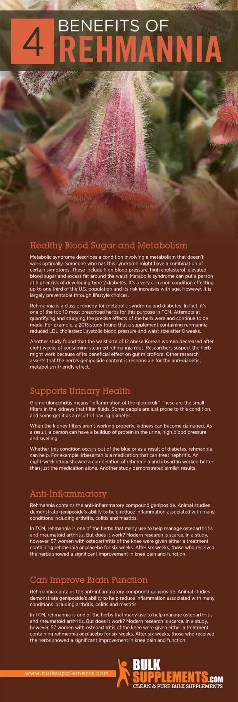 Rehmannia: Benefits, Side Effects & Dosage