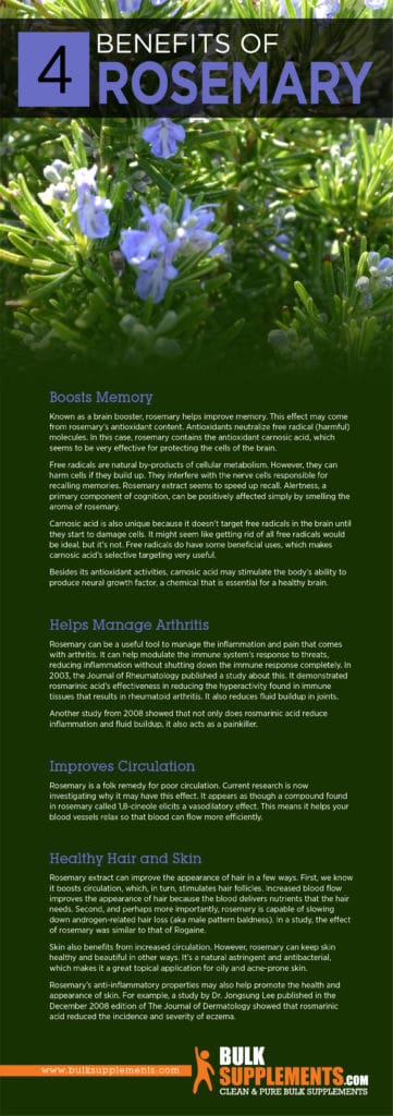 Rosemary Extract: Benefits, Side Effects & Dosage