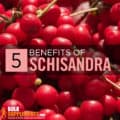 Schisandra Extract: Benefits, Side Effects & Dosage