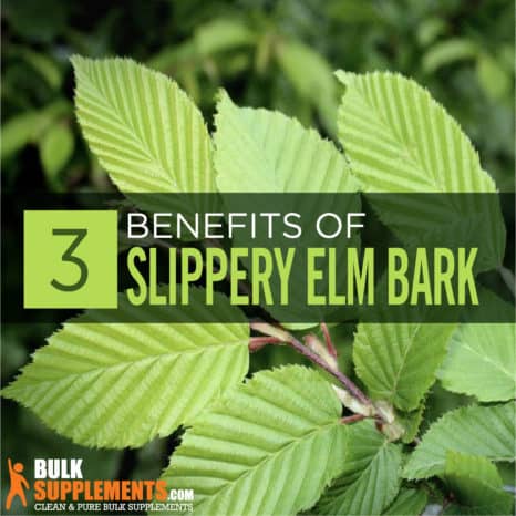 Slippery Elm Bark Benefits Side Effects Dosage