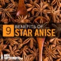 Star Anise Extract: Benefits, Side Effects & Dosage