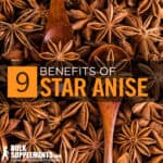 Star Anise Extract: Benefits, Side Effects & Dosage