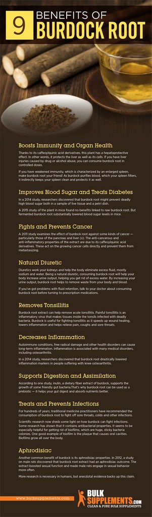 Burdock Root: Benefits, Side Effects & Dosage