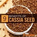 Cassia Seed Extract: Benefits, Side Effects & Dosage