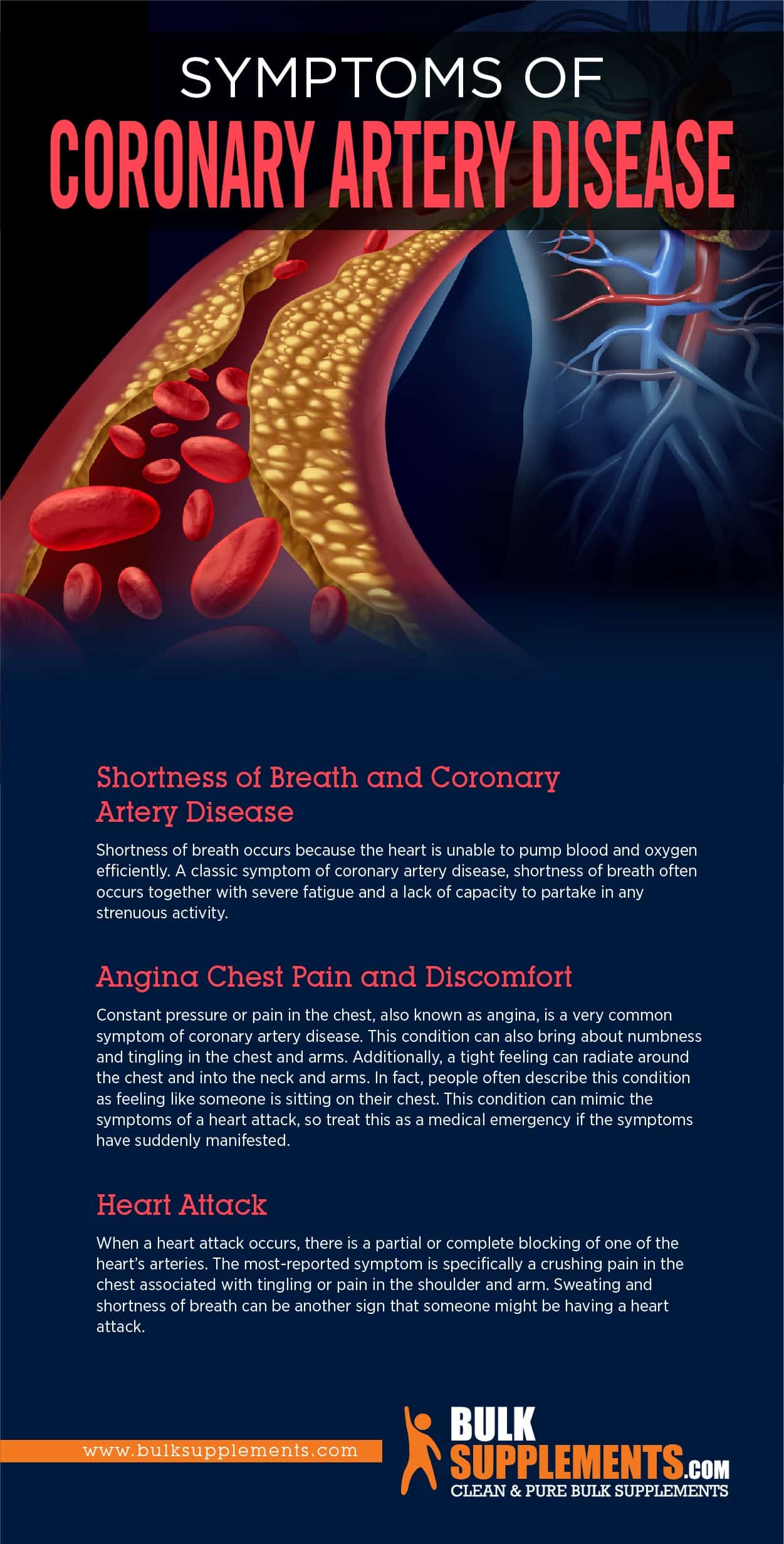 Coronary Artery Coronary Artery Disease CAD Animation MADE EASY 