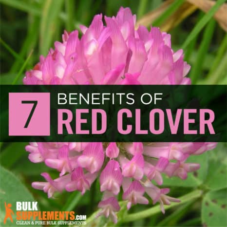 Red Clover Extract: Benefits, Side Effects & Dosage
