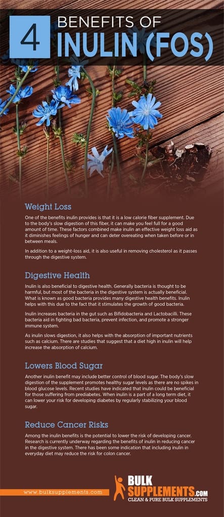 Inulin (FOS) Supplements. Boost Absorption. Happy Gut, Happy Life
