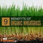 Organic Wheatgrass: Benefits, Side Effects & Dosage