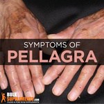 Pellagra: Symptoms, Causes & Treatment