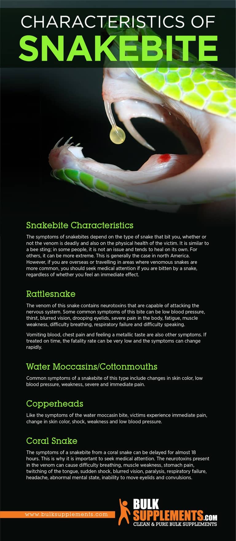 Snakebite: Characteristics, Causes & Treatment